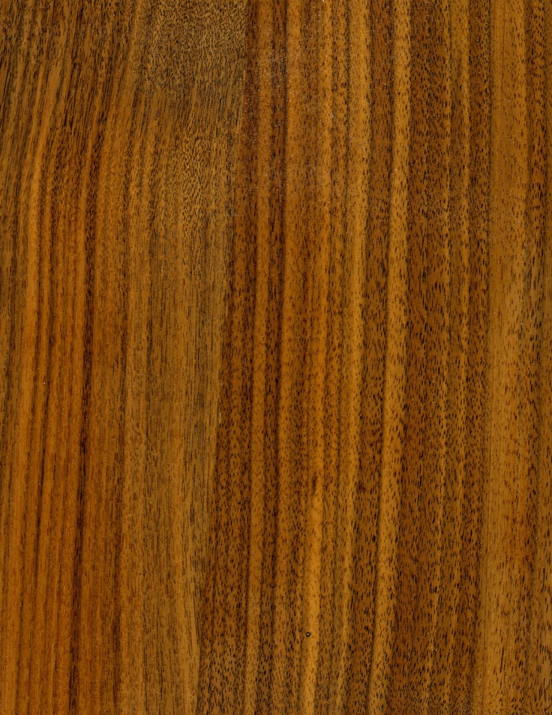 Some of my favorite things | Life of an Architect