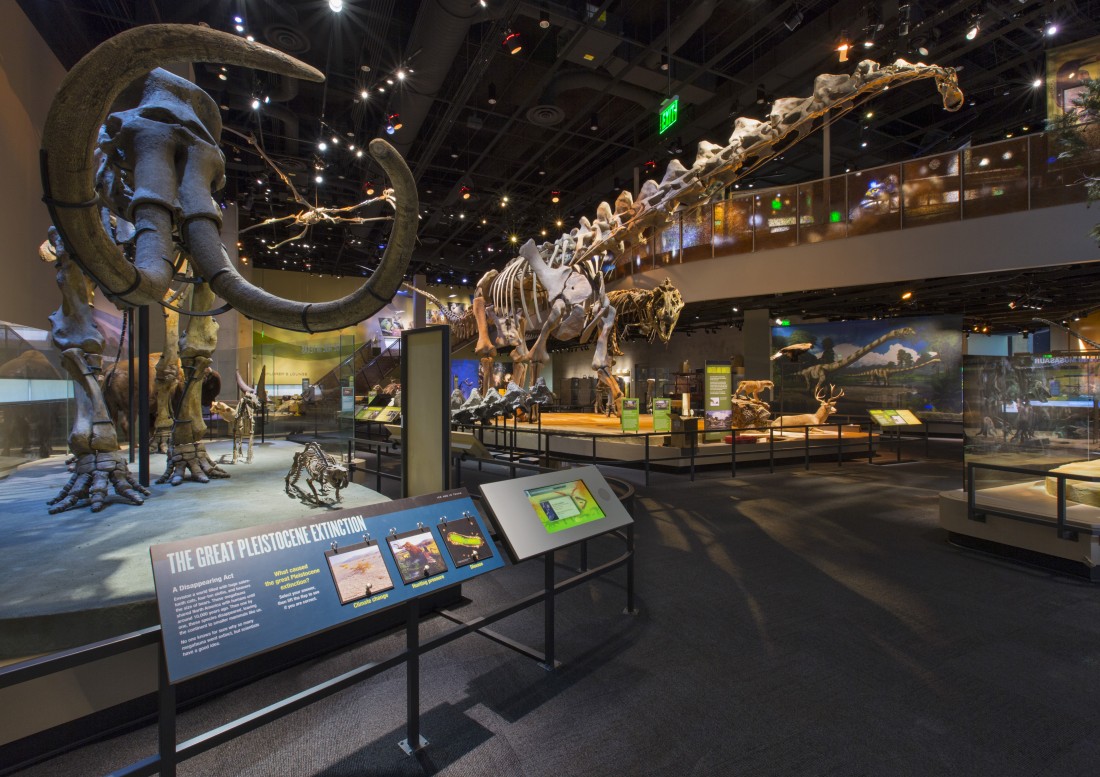 The Dallas Perot Museum of Science and Nature | Life of an Architect